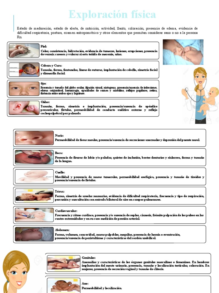 Exploración Física Pediátrica | PDF | Anatomía | Especialidades Medicas