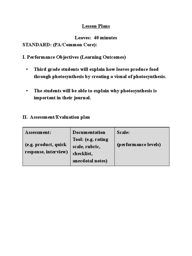 Leaves Lesson Plan | PDF | Photosynthesis | Sodium Bicarbonate