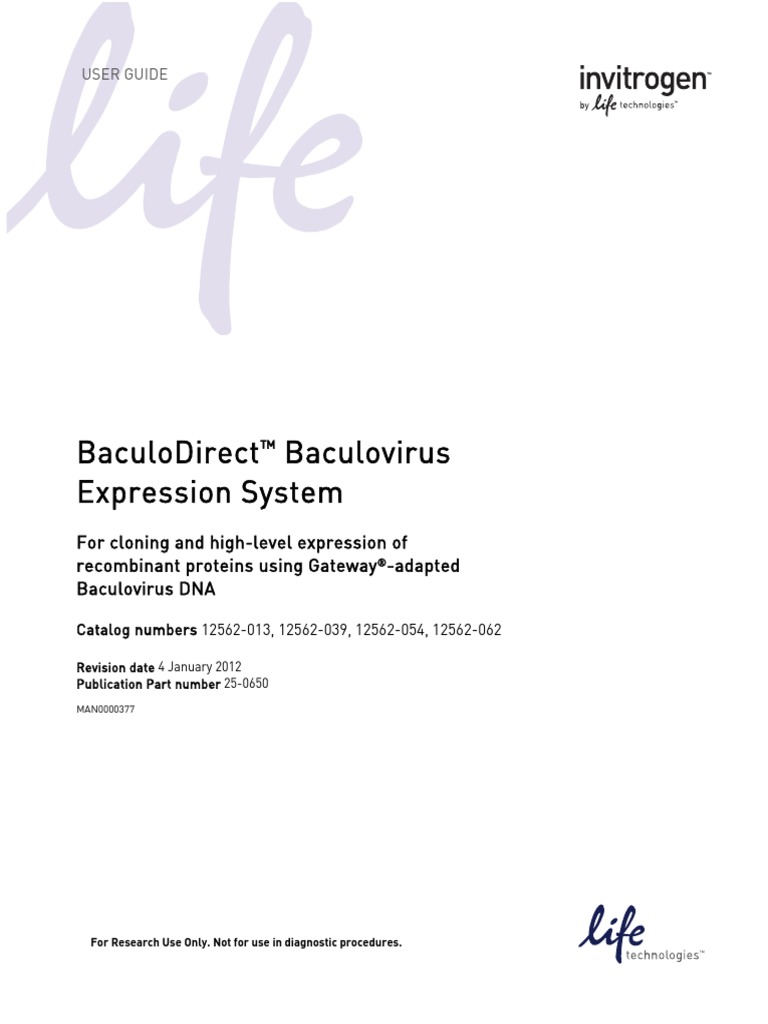 Baculodirect Baculovirus Expression System: User Guide | PDF ...