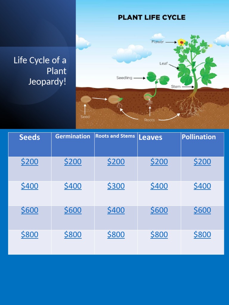 Plant Life Cycle Game | PDF