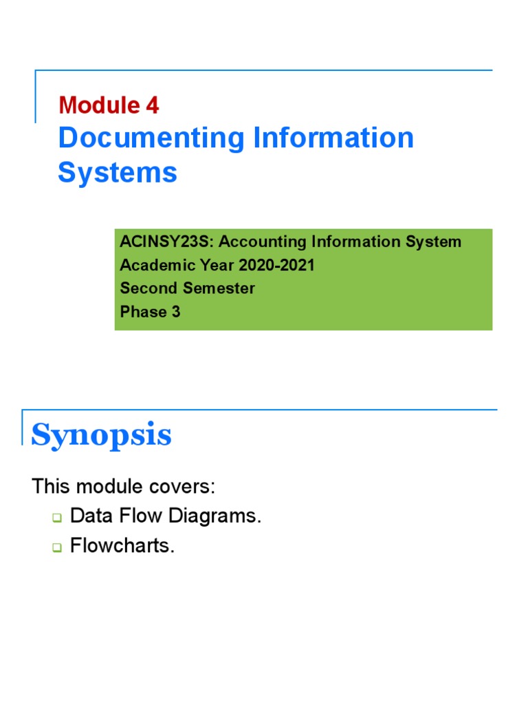 Module 4 - Documenting Information System | PDF | Data | Information Age