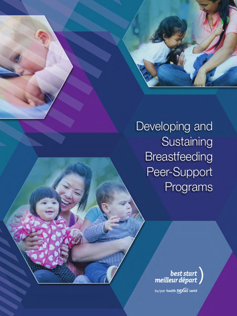 Developing and Sustaining Breastfeeding Peer-Support Programs | PDF ...