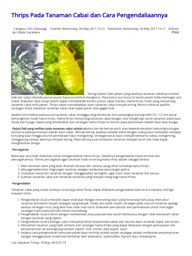 Hama Thrips pada Tanaman Cabai dan Cara Pengendaliannya | PDF