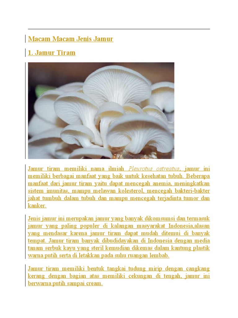 Jenis-Jenis Jamur dan Manfaatnya | PDF | Sains & Matematika