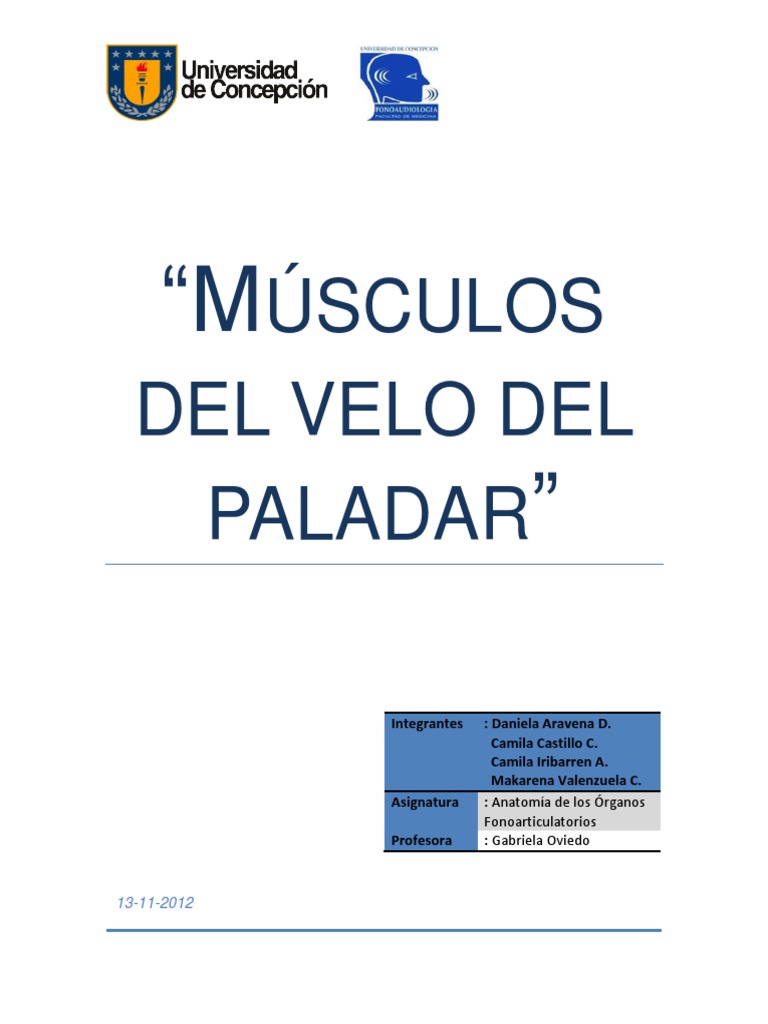 Músc Del Velo Del Paladar | PDF | Anatomía | Cabeza y cuello humanos