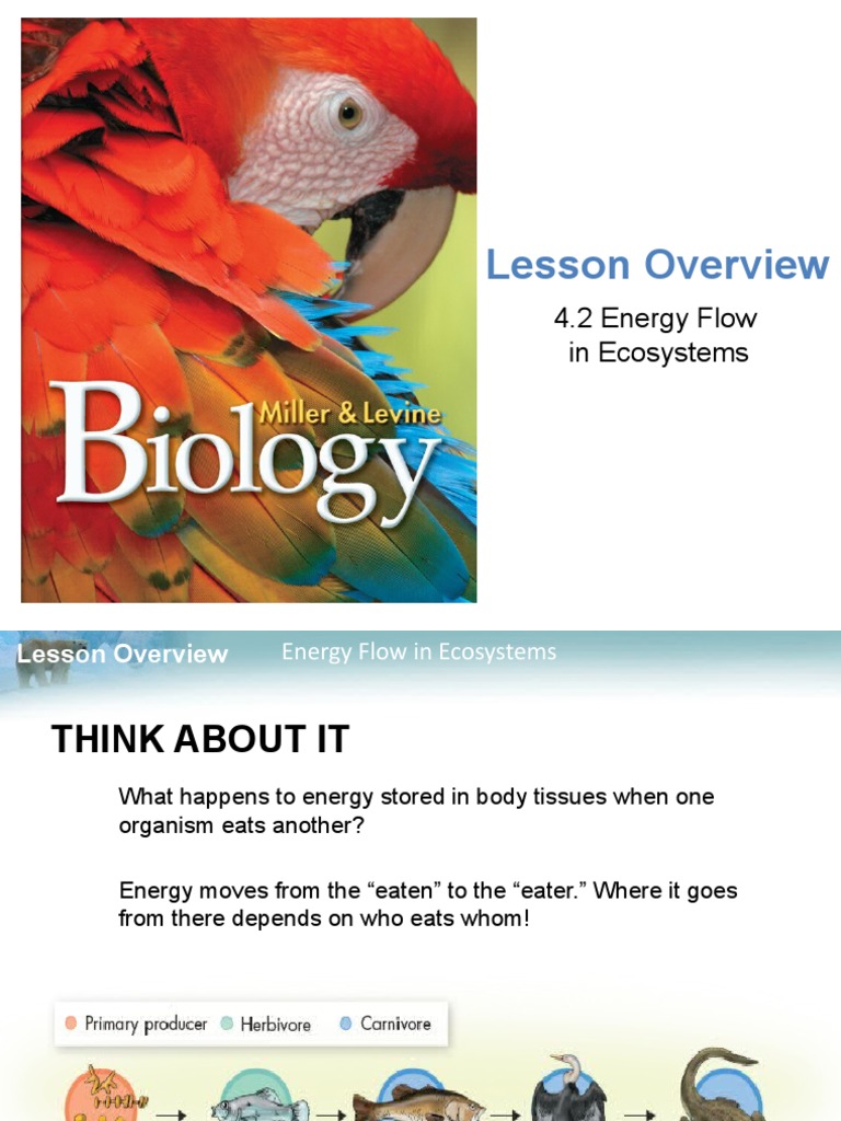4.2 Energy Flow in Ecosystems | PDF | Food Web | Biomass (Ecology)