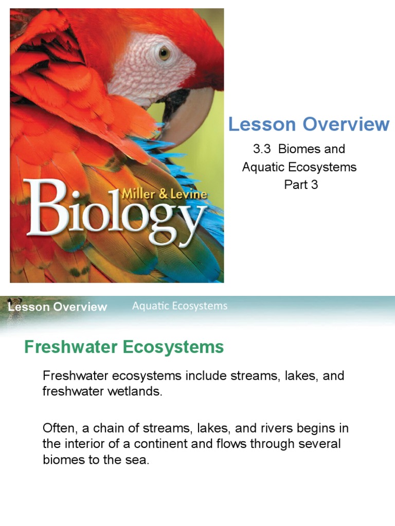 Overview of Aquatic Ecosystems | PDF | Aquatic Ecosystem | Oceans
