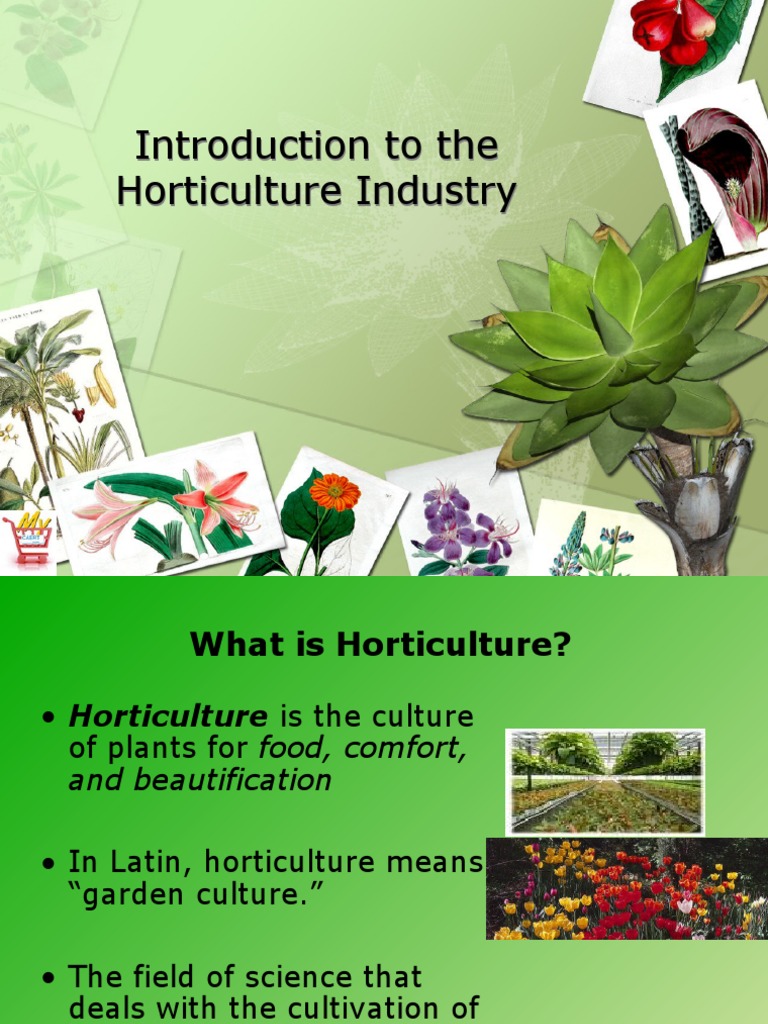 Introduction To The Horticulture Industry | PDF | Vegetables | Horticulture