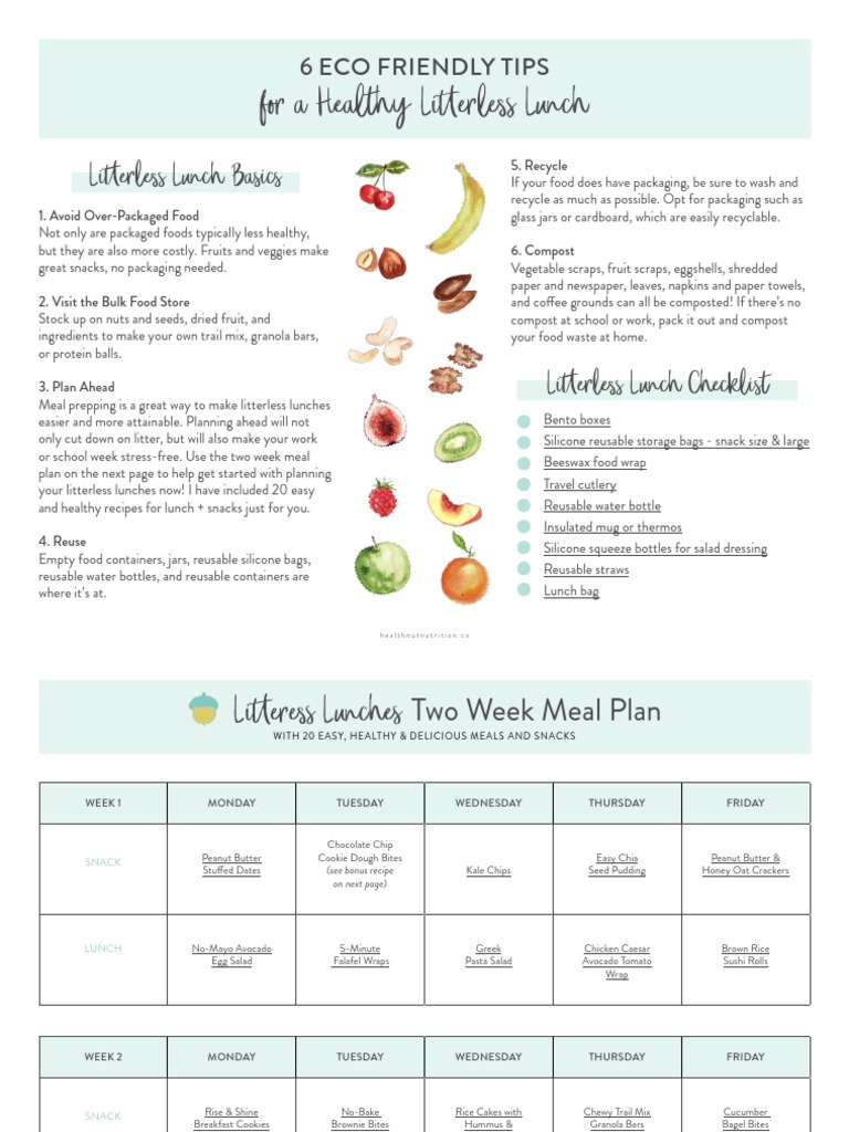 For A Healthy Litterless Lunch | PDF | Salad | Meal