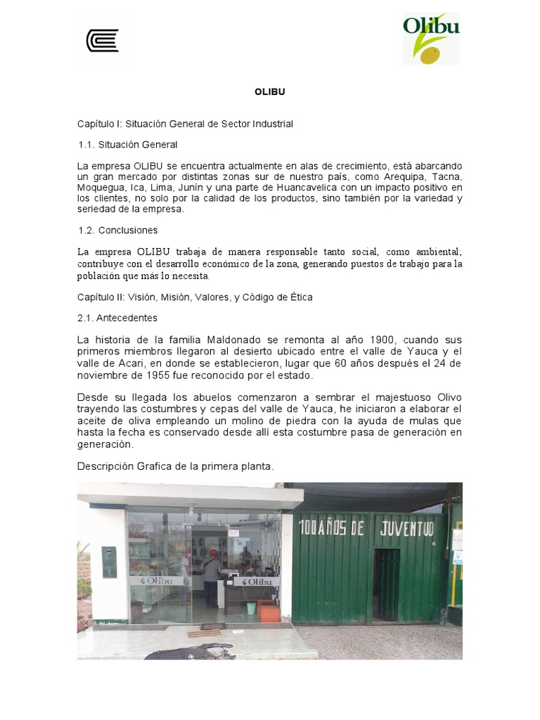 Olibu Cap 1 Administracion Estrategica | PDF | Empresas | Economias