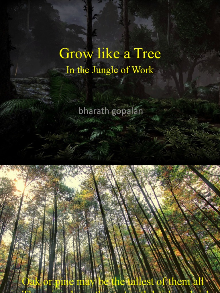 Grow Like A Tree | PDF | Human Nature | Business