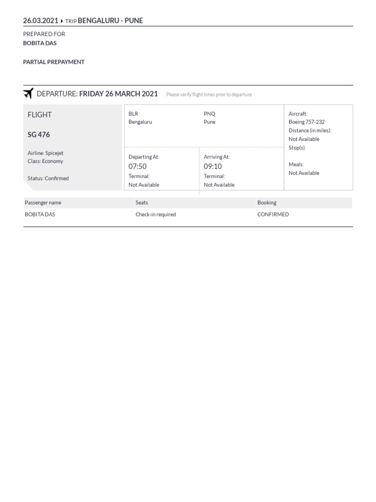 Fake Flight Ticket | PDF