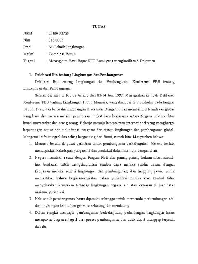 Tugas Ringkasan Dokumen Hasil KTT BUMI | PDF