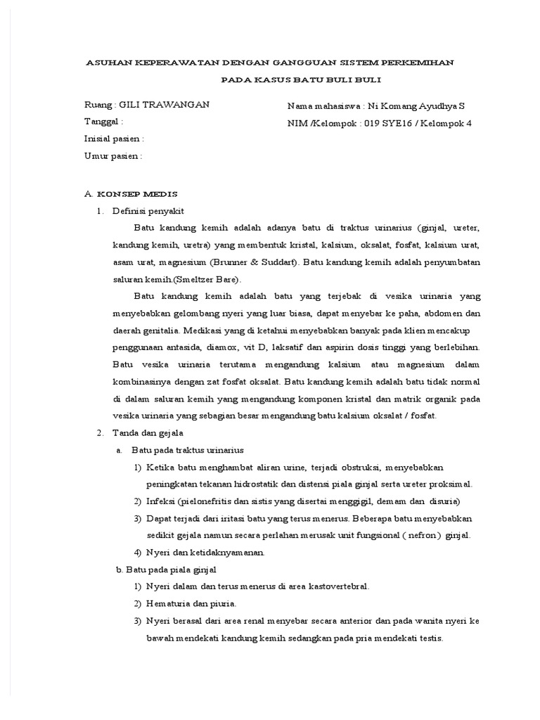 PDF LP Batu Buli Buli | PDF