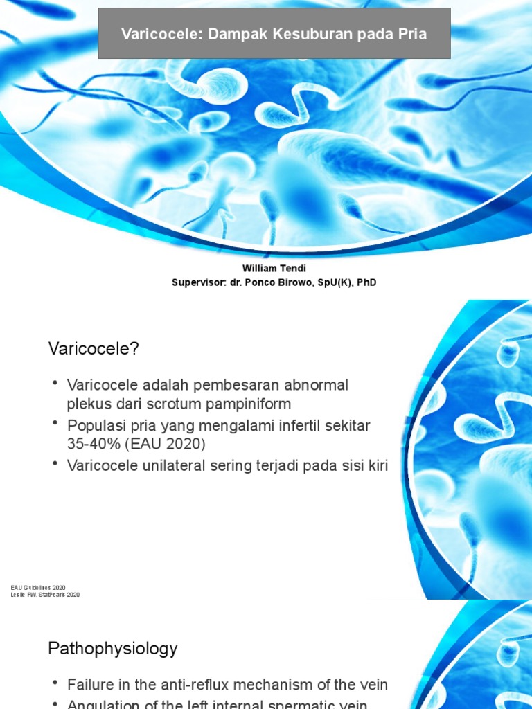 (17 November 2020) Varicocele in Infertility and ART | PDF ...