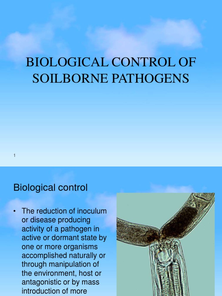 Biological Control of Soilborne Pathogens | PDF | Plant Pathology ...