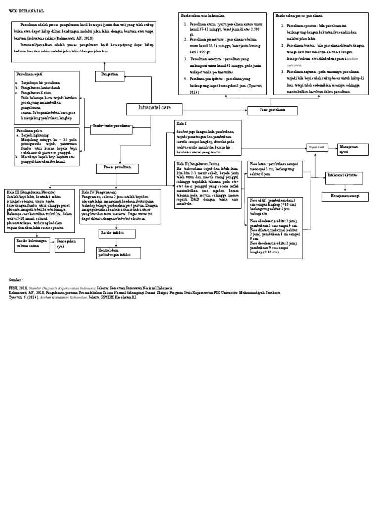 Panduan Lengkap Proses Persalinan Intranatal | PDF