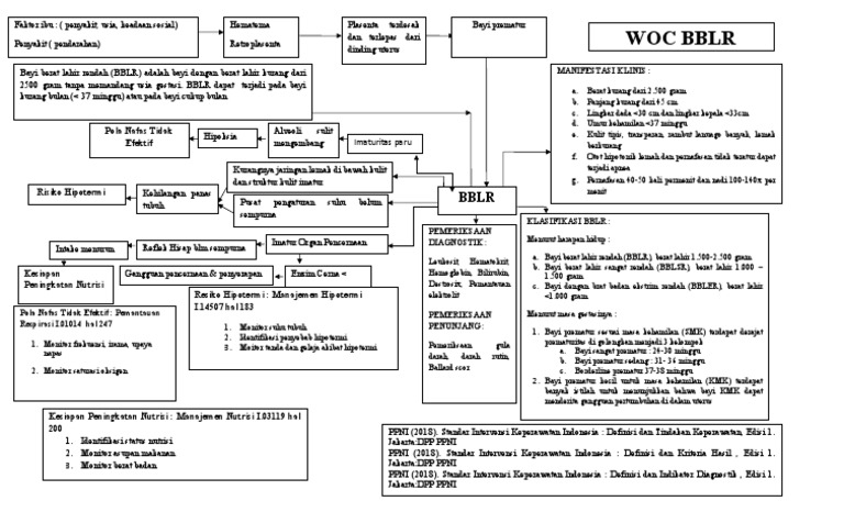 Woc BBLR | PDF