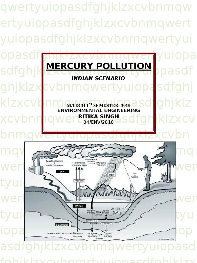 Mercury Pollution (Indian Scenario) | PDF | Mercury (Element) | Chlorine