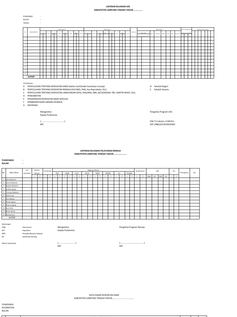 Laporan Bulanan Uks Excel | PDF