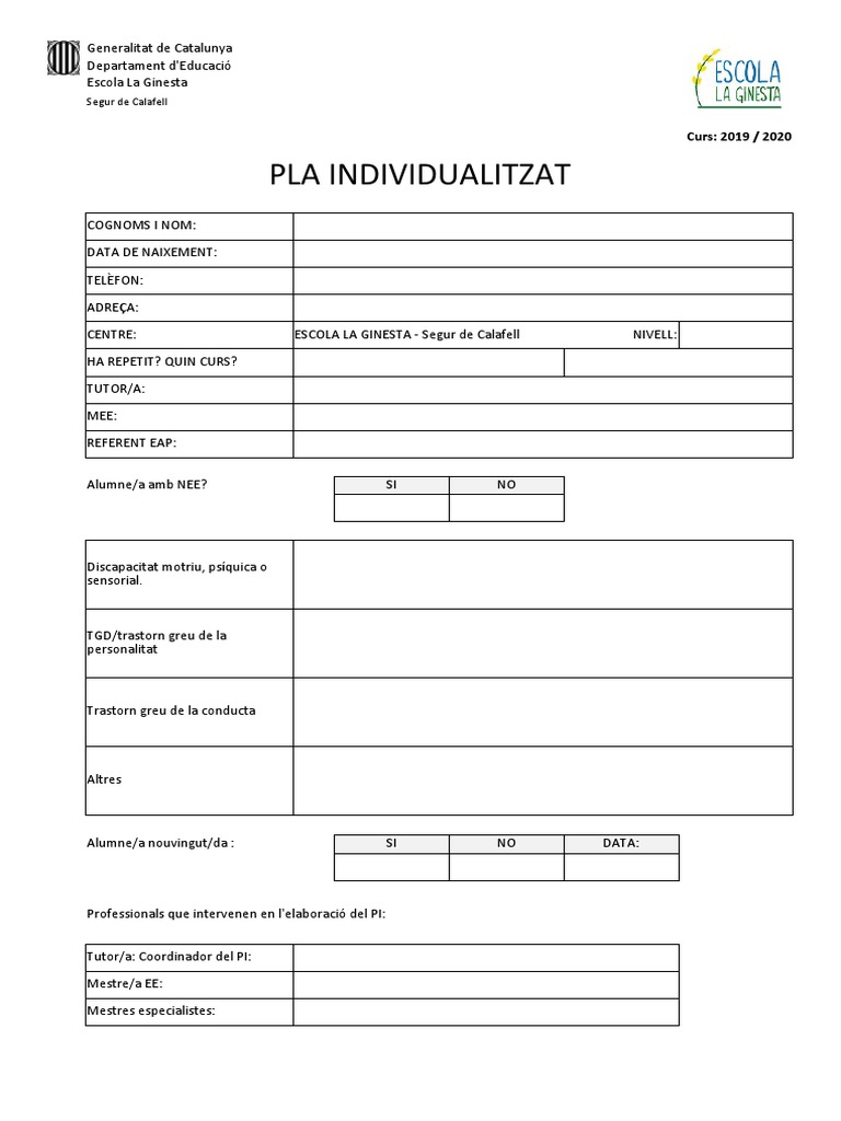Pla Individualitzat - MODEL NOU | PDF
