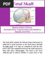 Mechanism of Labour: LOA & ROA Explained | PDF | Pelvis | Childbirth