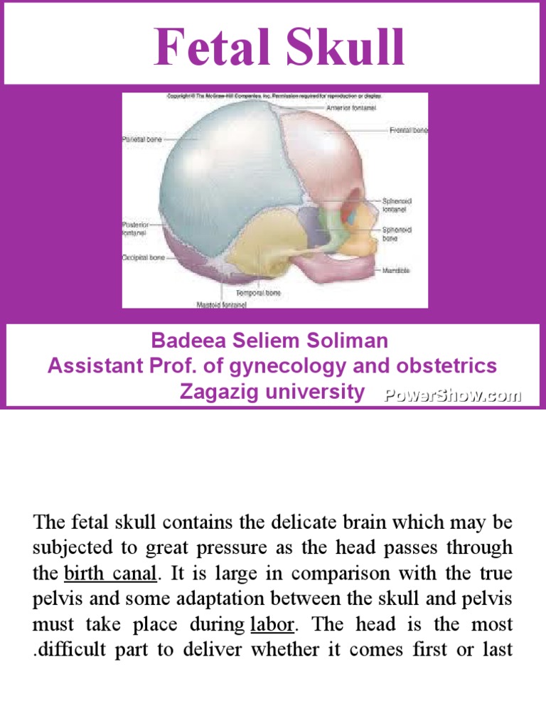 Fetal Skull: Badeea Seliem Soliman Assistant Prof. of Gynecology and ...