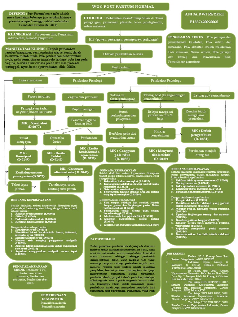 WOC POST PARTUM | PDF