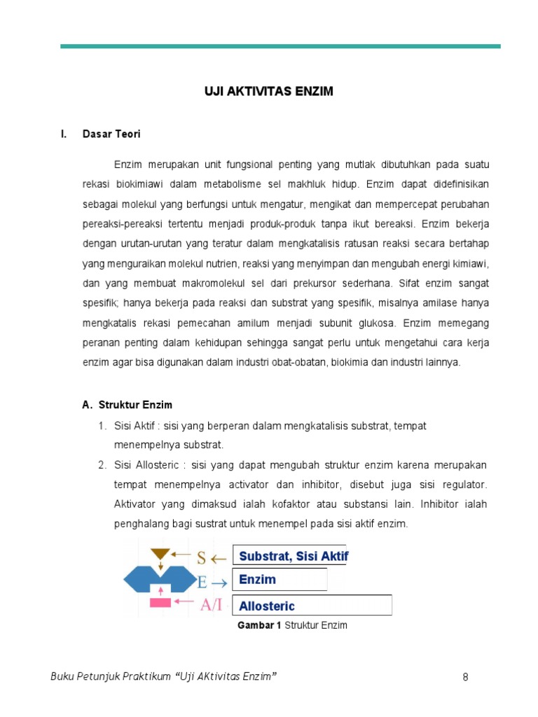 Uji Aktivitas Enzim FK 19 | PDF | Sains & Matematika