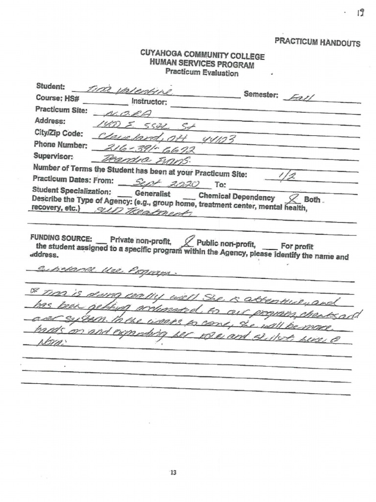 Practicum Evaluation | PDF