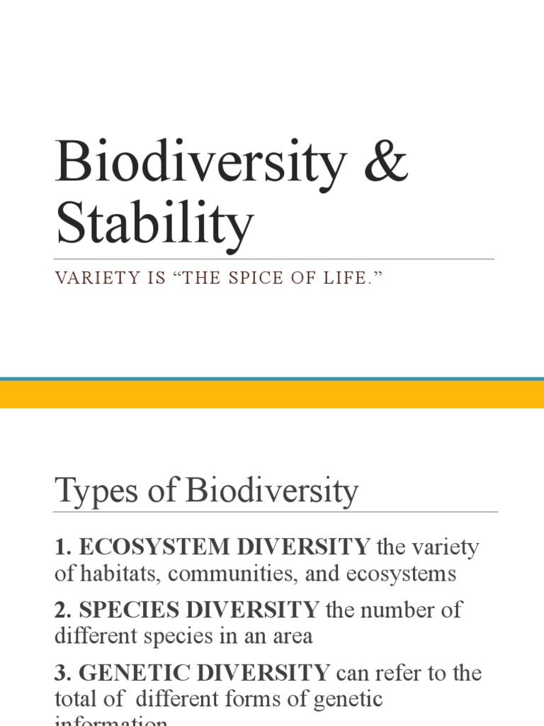 Biodiversity & Stability | PDF | Biodiversity | Ecosystem