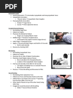 Sacral OMM Guide | PDF | Anatomical Terms Of Motion | Human Anatomy