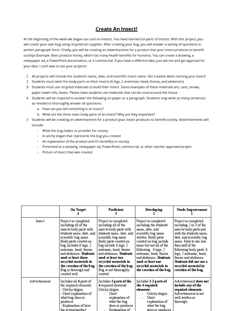 Create A Bug Rubric | PDF | Insects