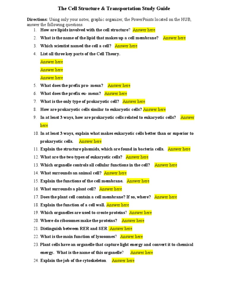 Noah Loya - Cell Study Guide | PDF | Endoplasmic Reticulum | Organelle