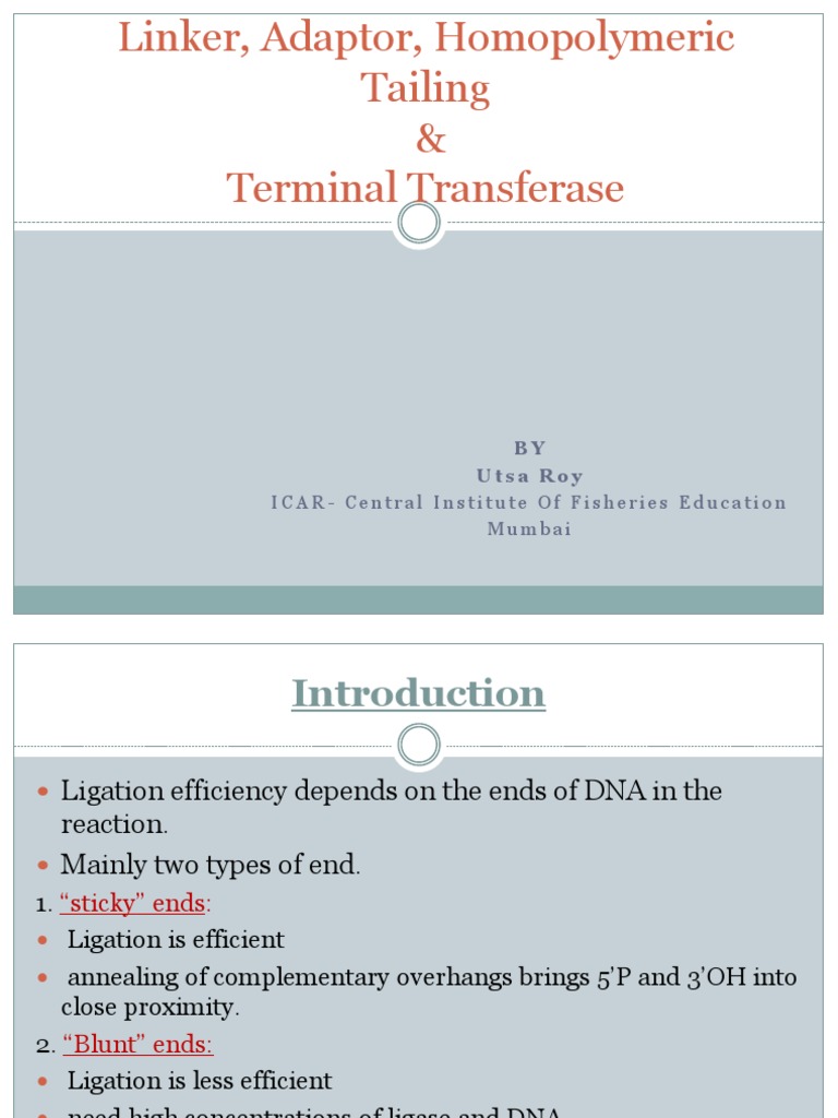 Linker, Adaptors | PDF | Molecular Cloning | Dna Ligase