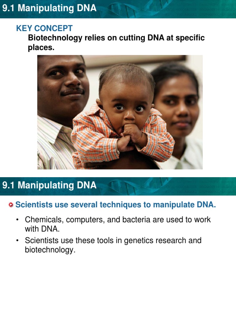 Manipulation of Dna | Download Free PDF | Dna | Polymerase Chain Reaction