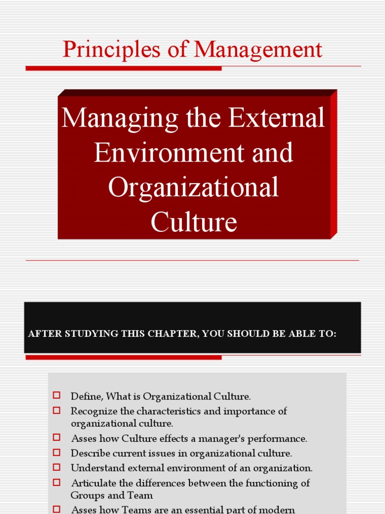 Managing Organizational Culture and Environment | PDF | Organizational ...