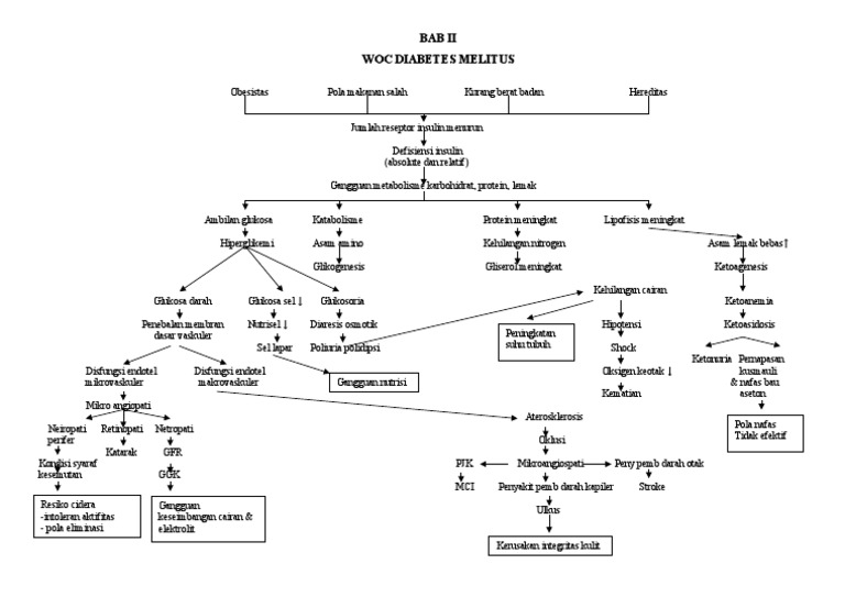Woc Diabetes Melitus | PDF