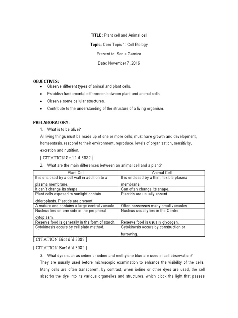 Lab Report Animal and Plant Cells | PDF | Cytoplasm | Cell (Biology)