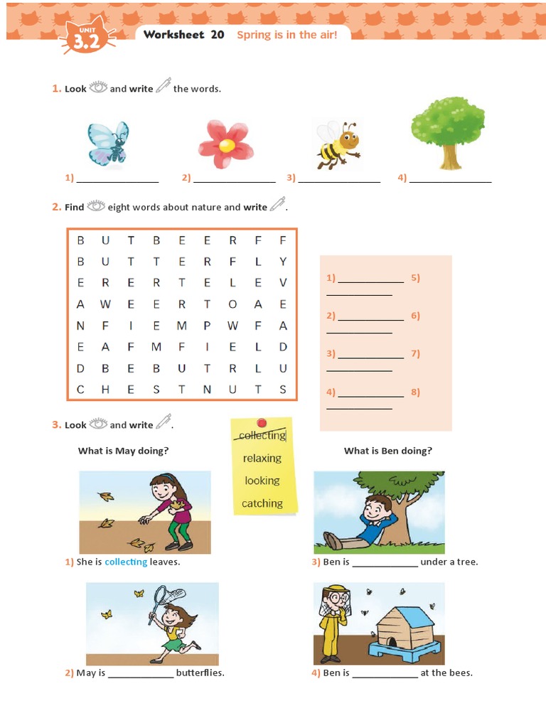 Look and Write The Words.: Collecting | PDF | Computers