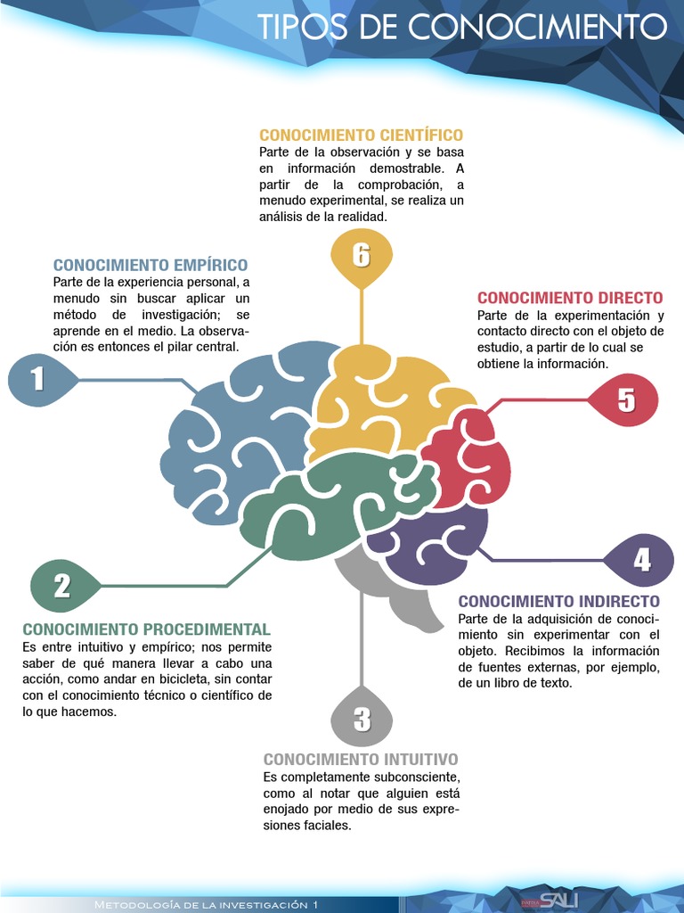 Infografía Tipos de Conocimiento | PDF