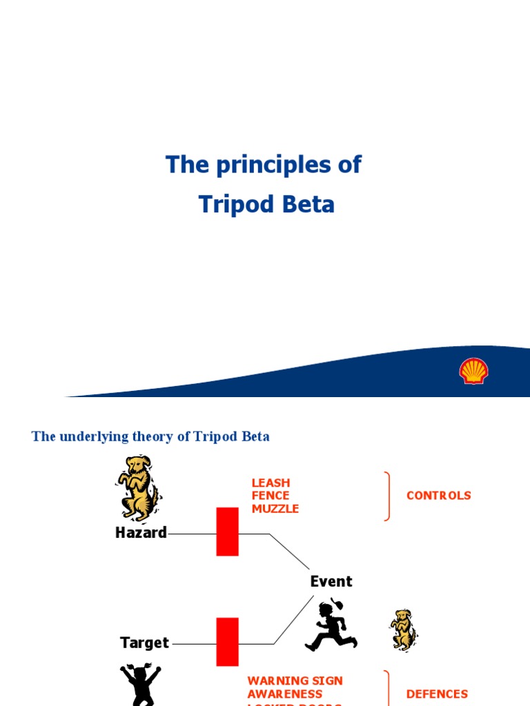 The Principles of Tripod Beta | PDF | Seat Belt | Tire