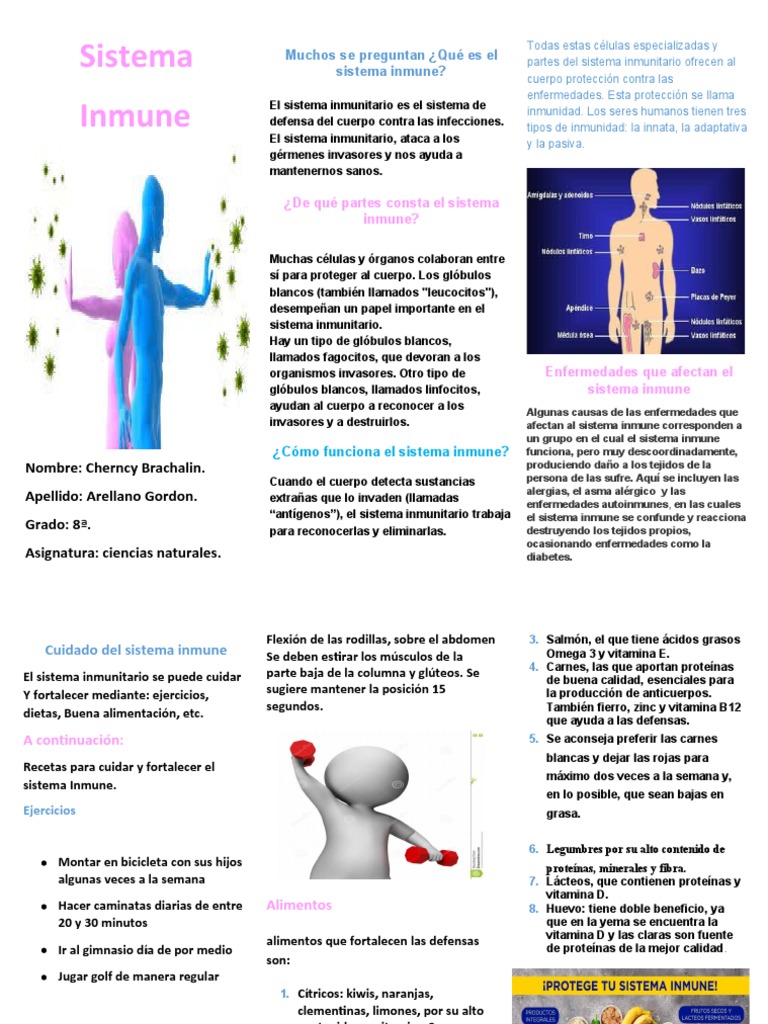 Folleto de | PDF | Sistema inmune | Leucocito
