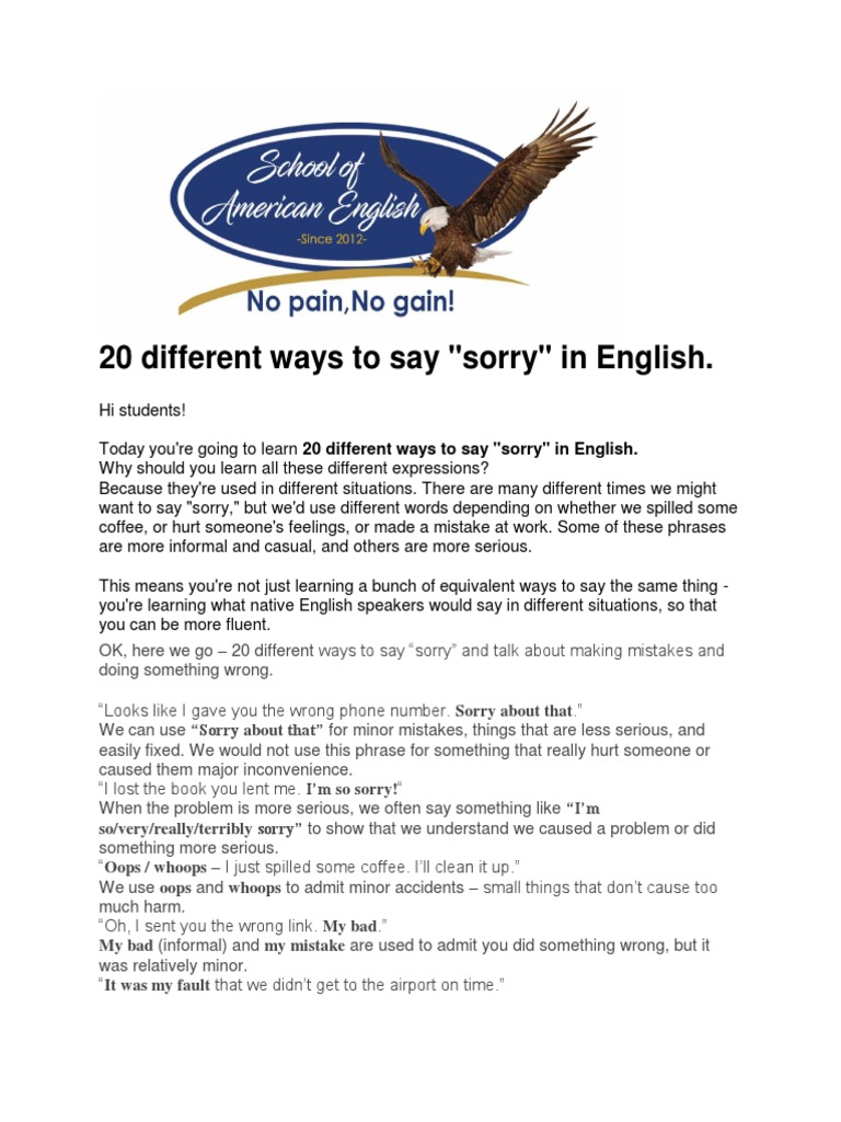20 Ways To Say Sorry | PDF | English Language