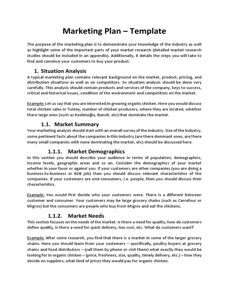 Marketing Plan - Template: 1. Situation Analysis | PDF | Sales | Marketing