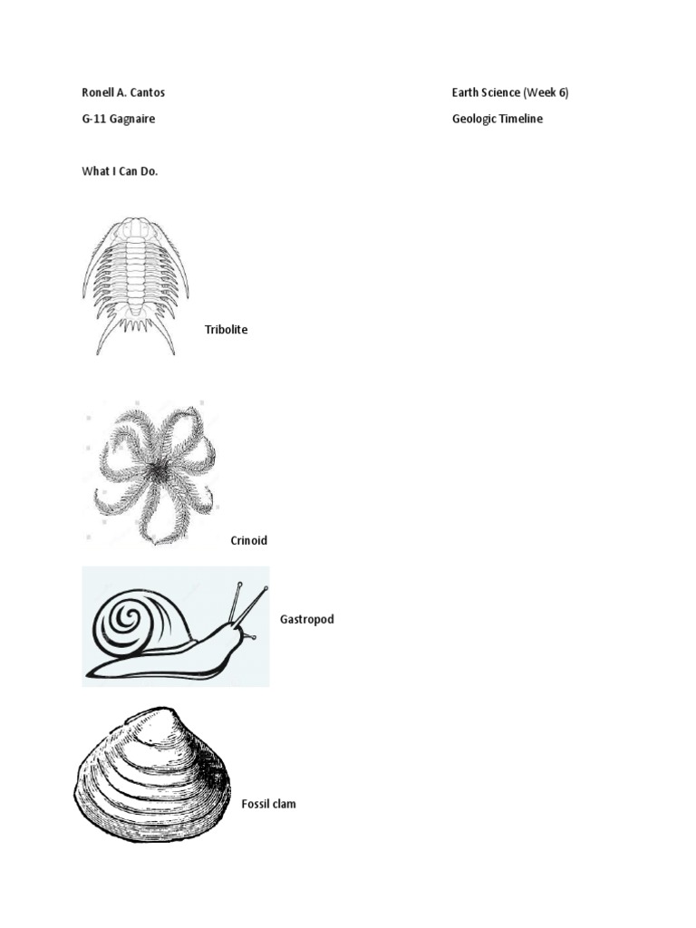 Eartch Science Week 6-3 | PDF