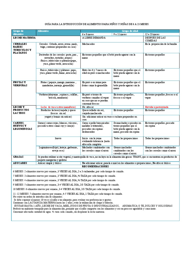 Guía para La Introducción de Alimentos para Niños y Niñas de 6 A 23 ...