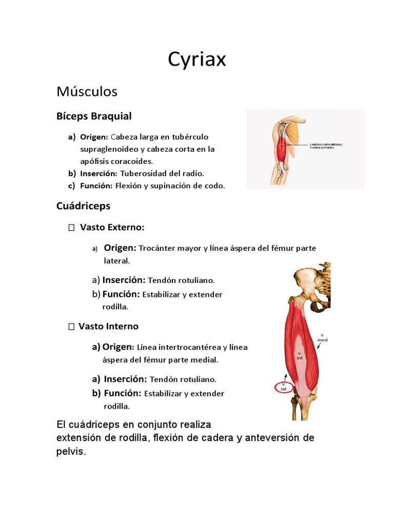 Cyriax Practica | PDF | Tejido suave | Articulaciones