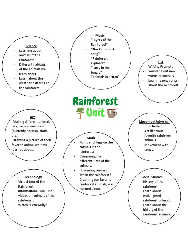 Rainforest Curriculum Web | PDF | Young Adult