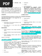 Clasificacion de Gartland 2 | PDF | Sistema musculoesquelético